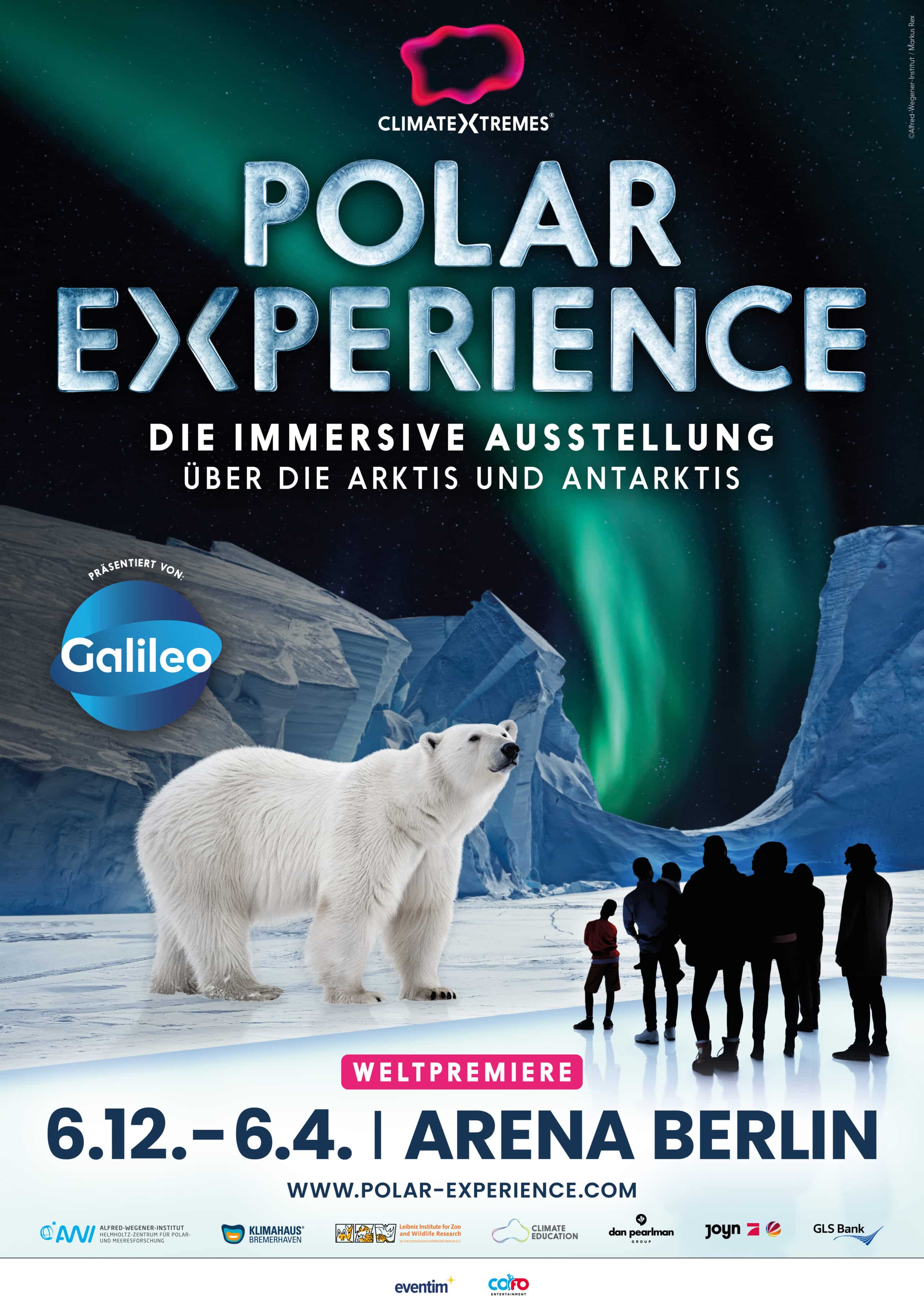 Polar Experience | dan pearlman